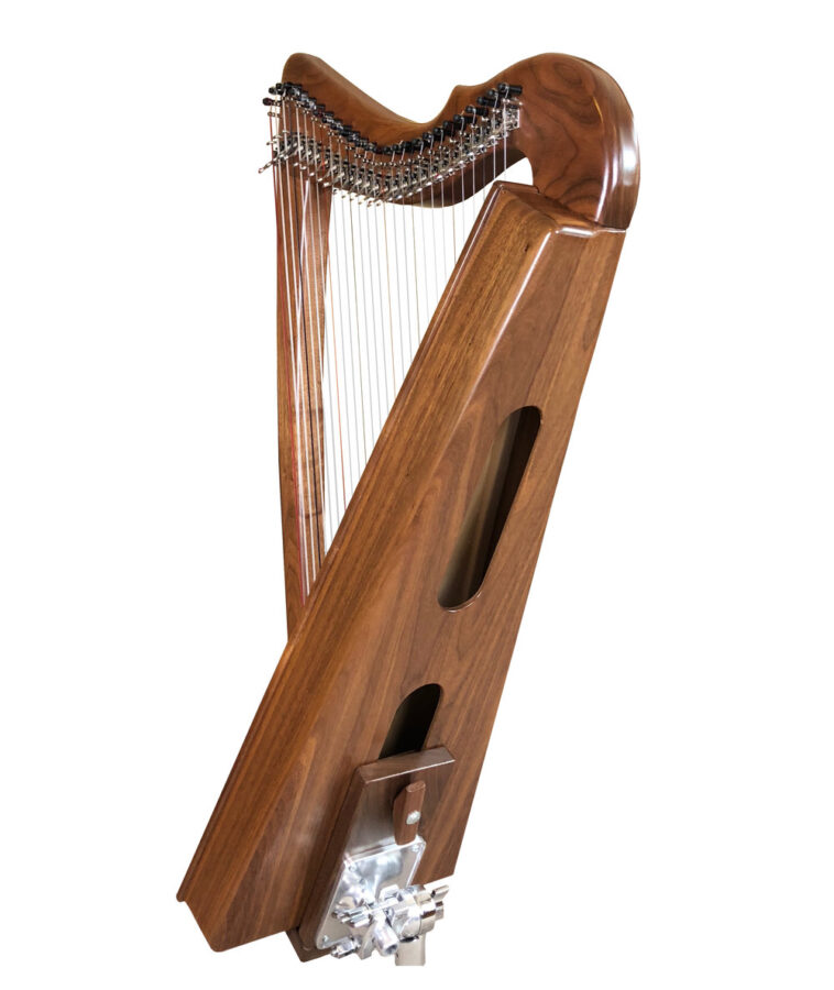 Morgan Meghan Harp – Learning the Harp