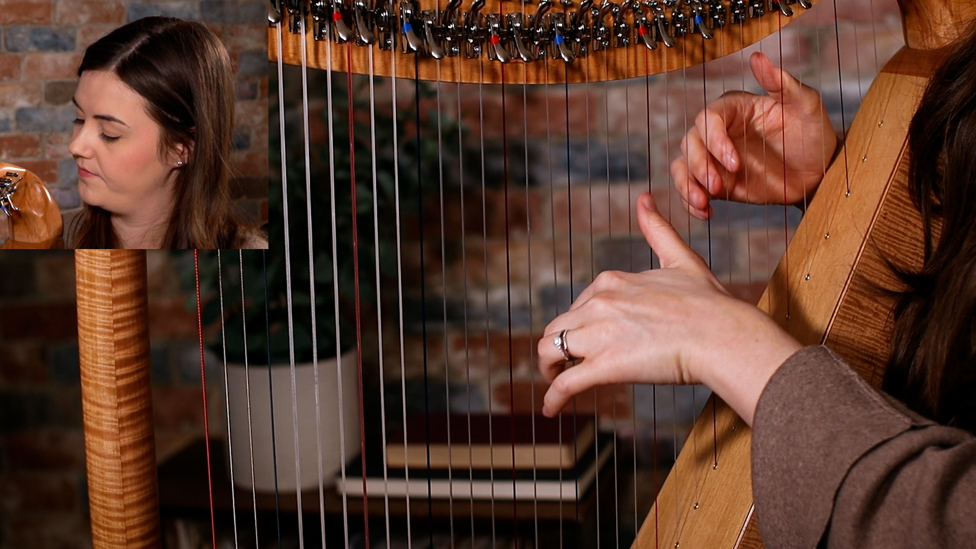 Harp Beginnings 2 – Learning the Harp
