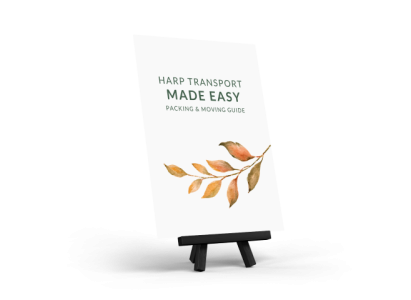 Performance Breakthrough – Learning the Harp